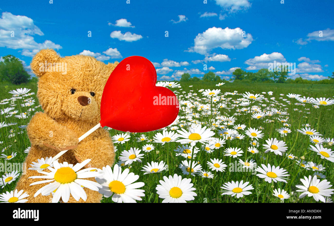 teddy bear with red heart Stock Photo - Alamy