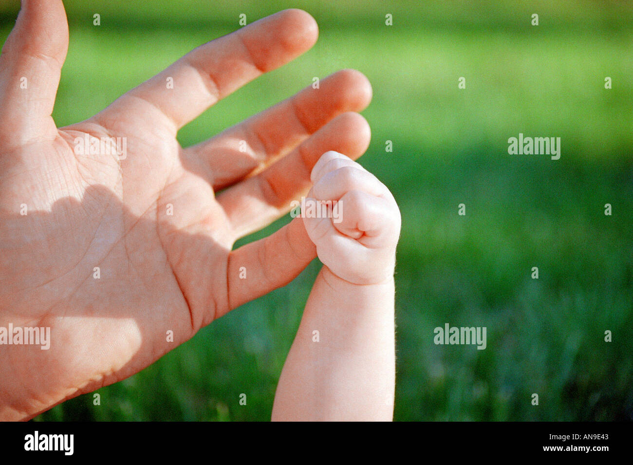 Grabbing parent hi-res stock photography and images - Alamy