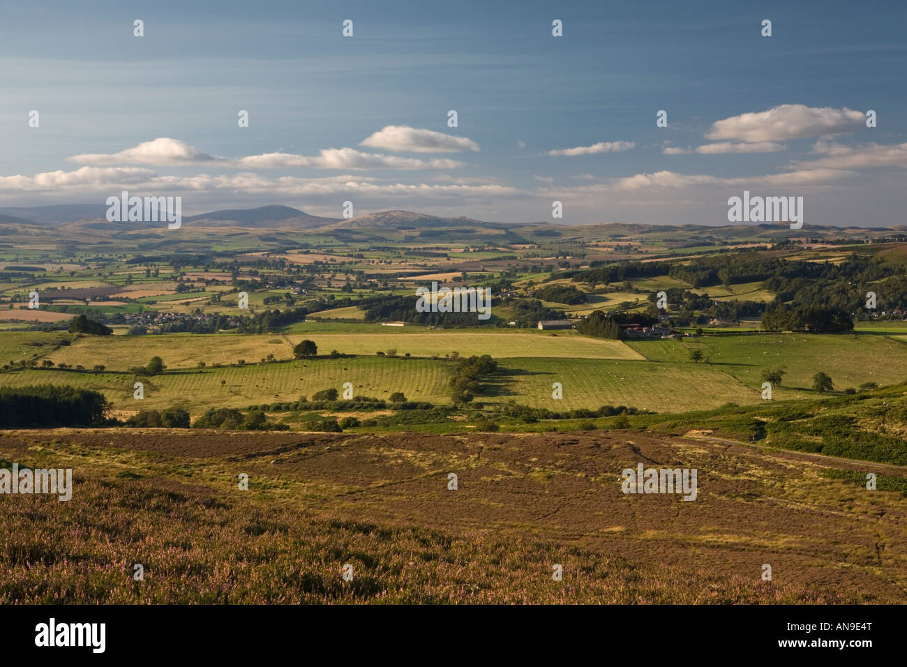Looking towards the Cheviot Hills from the Simonside Hills in ...