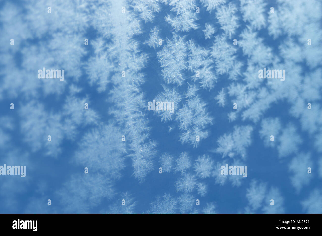 Frost weather hi-res stock photography and images - Alamy