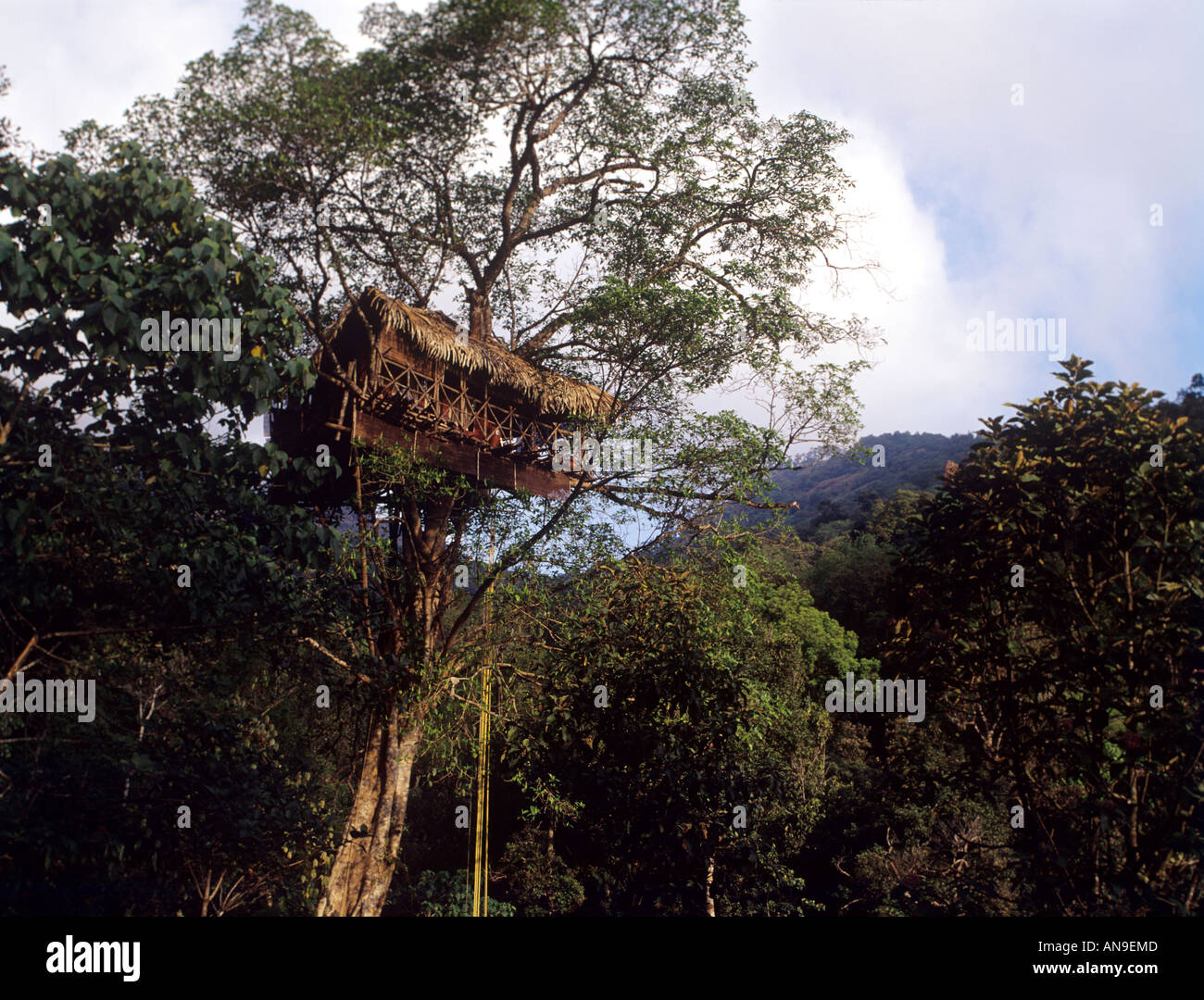 TREE HOUSE IN VYTHIRI WAYANAD Stock Photo - Alamy