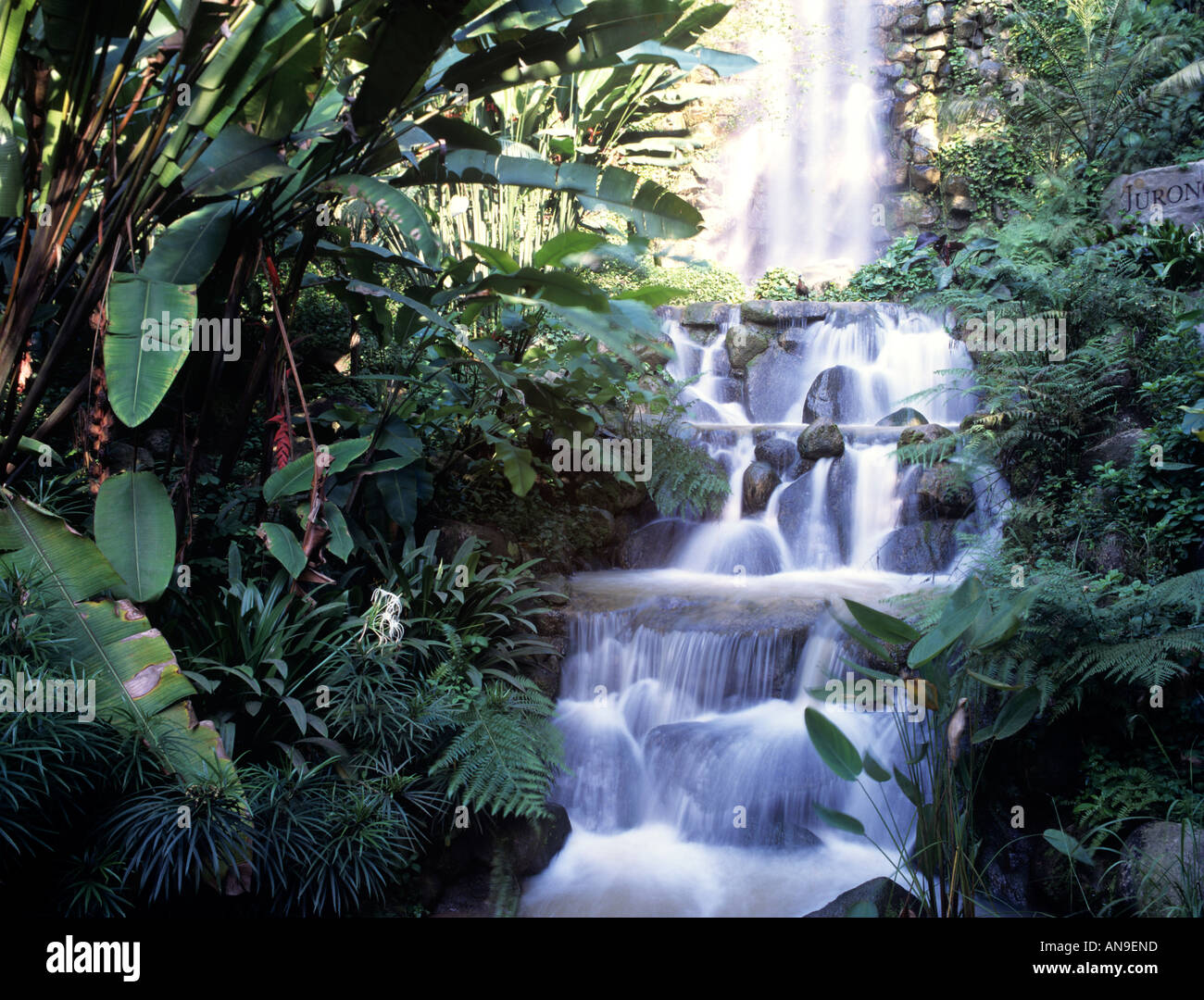 A TROPICAL STREAM IN SINGAPORE Stock Photo - Alamy