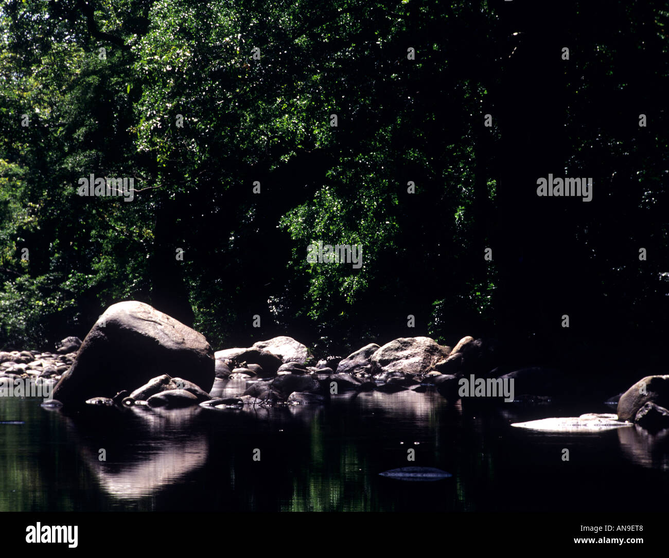 CHINNAR RIVER IN MUNNAR KERALA Stock Photo - Alamy