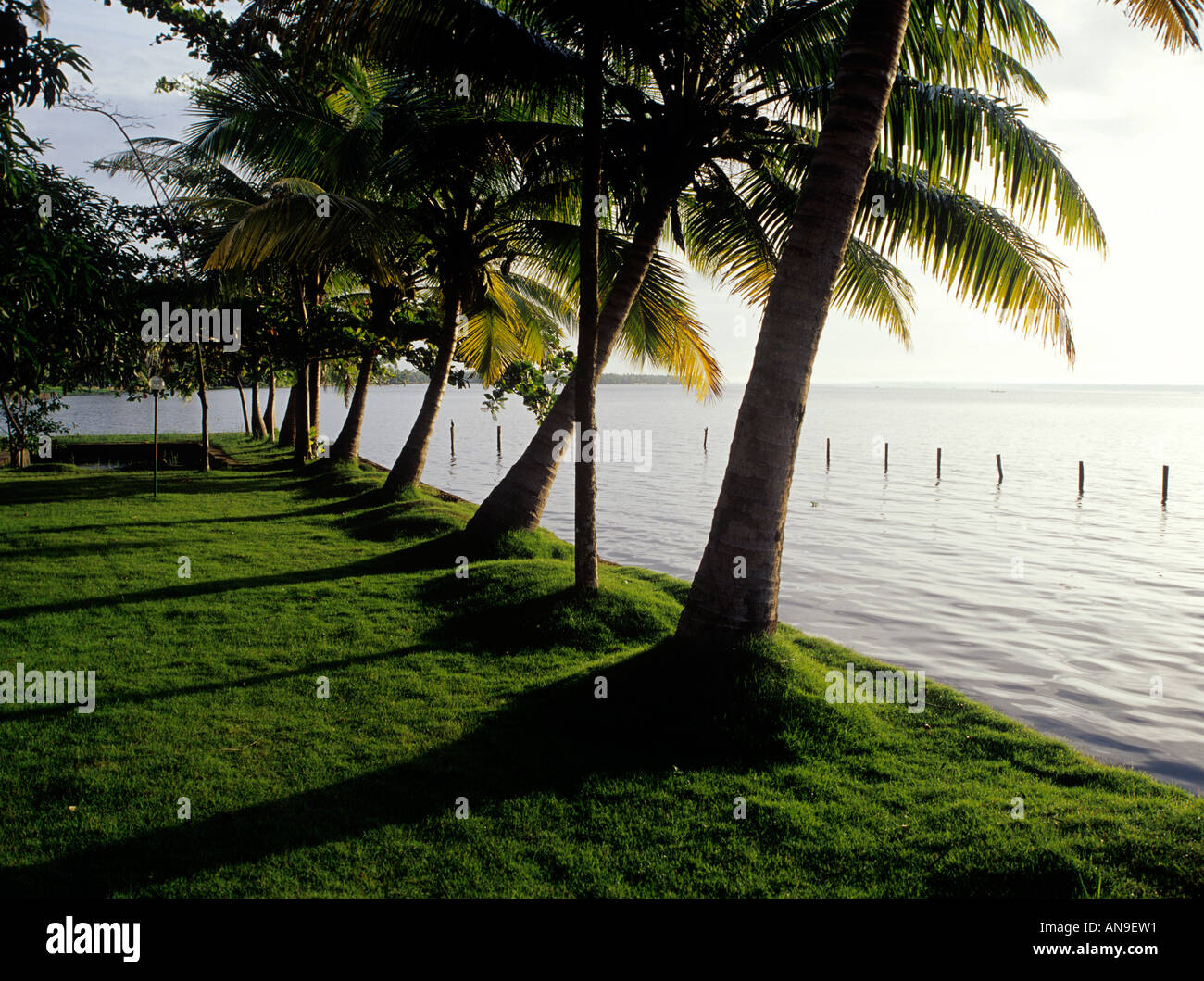 BACKWATERS OF MUHAMMA ALLEPPEY KERALA Stock Photo - Alamy