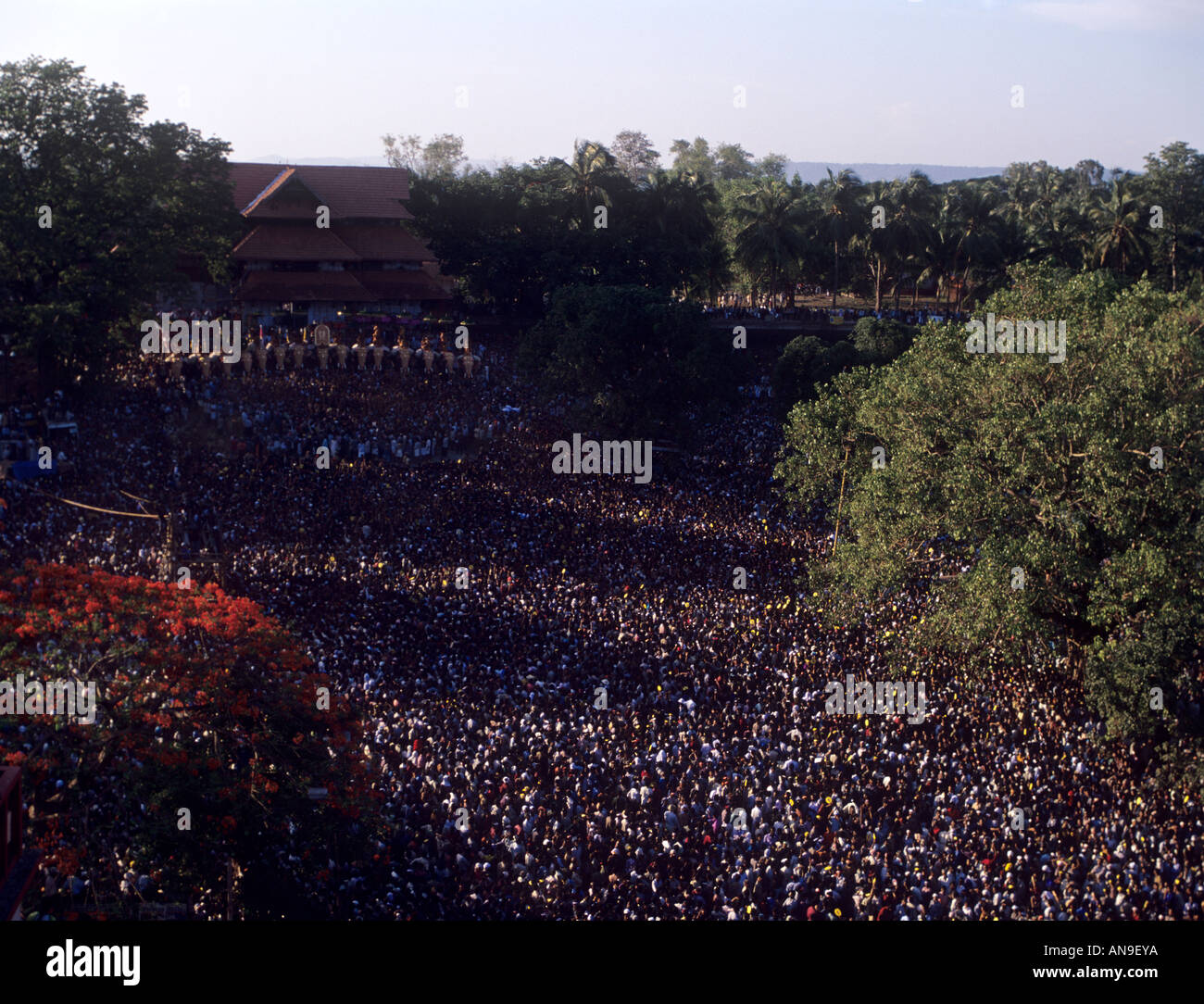 Crowd thrissur pooram hi-res stock photography and images - Alamy