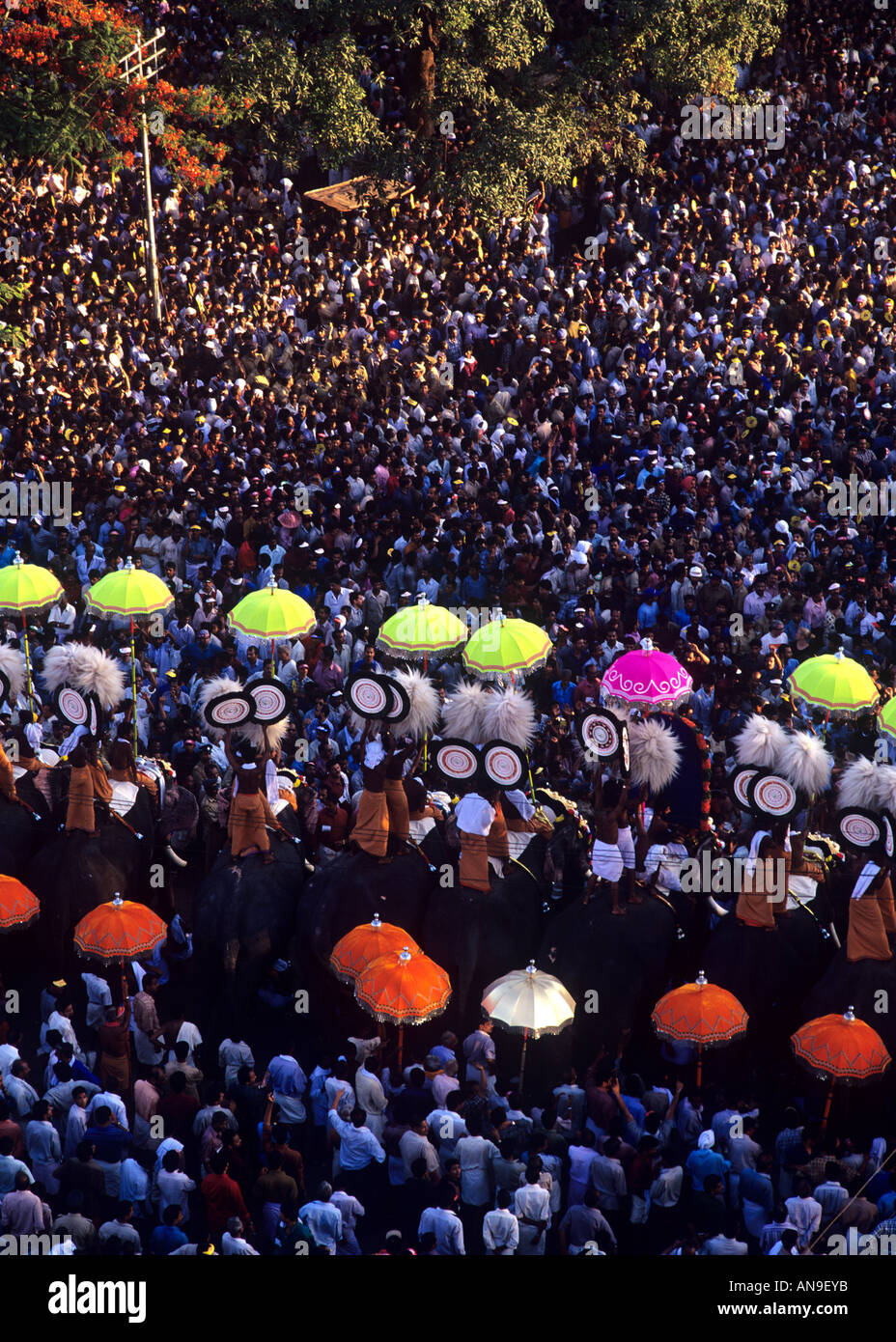 Crowd thrissur pooram hi-res stock photography and images - Alamy