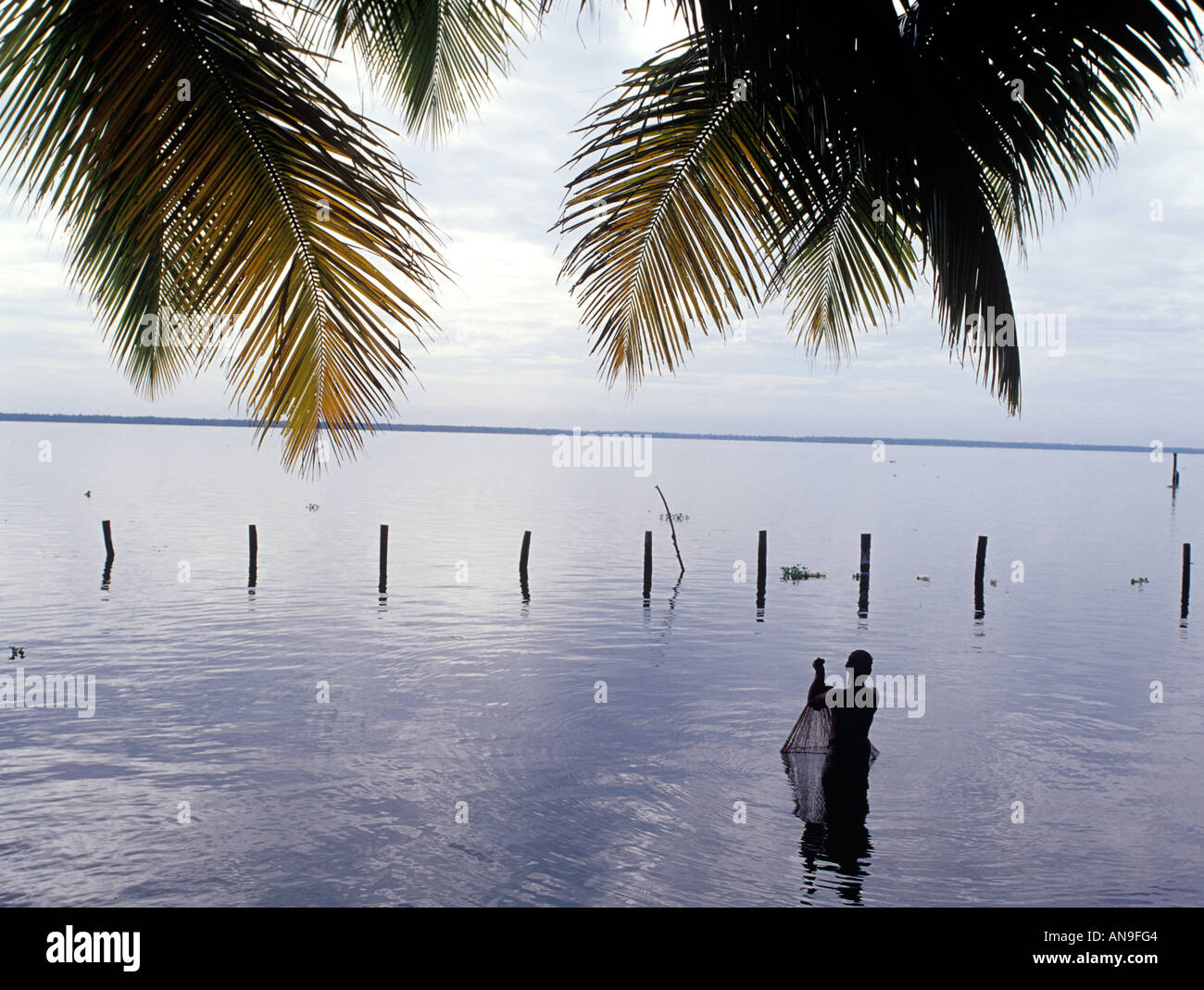 BACKWATERS OF MUHAMMA ALLEPPEY Stock Photo - Alamy