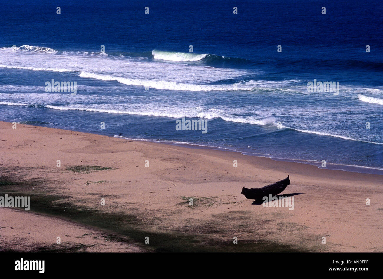 Chowara High Resolution Stock Photography and Images - Alamy