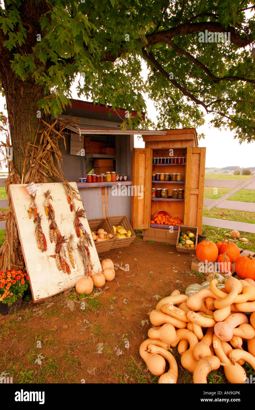 Amish farm tour hi-res stock photography and images - Alamy