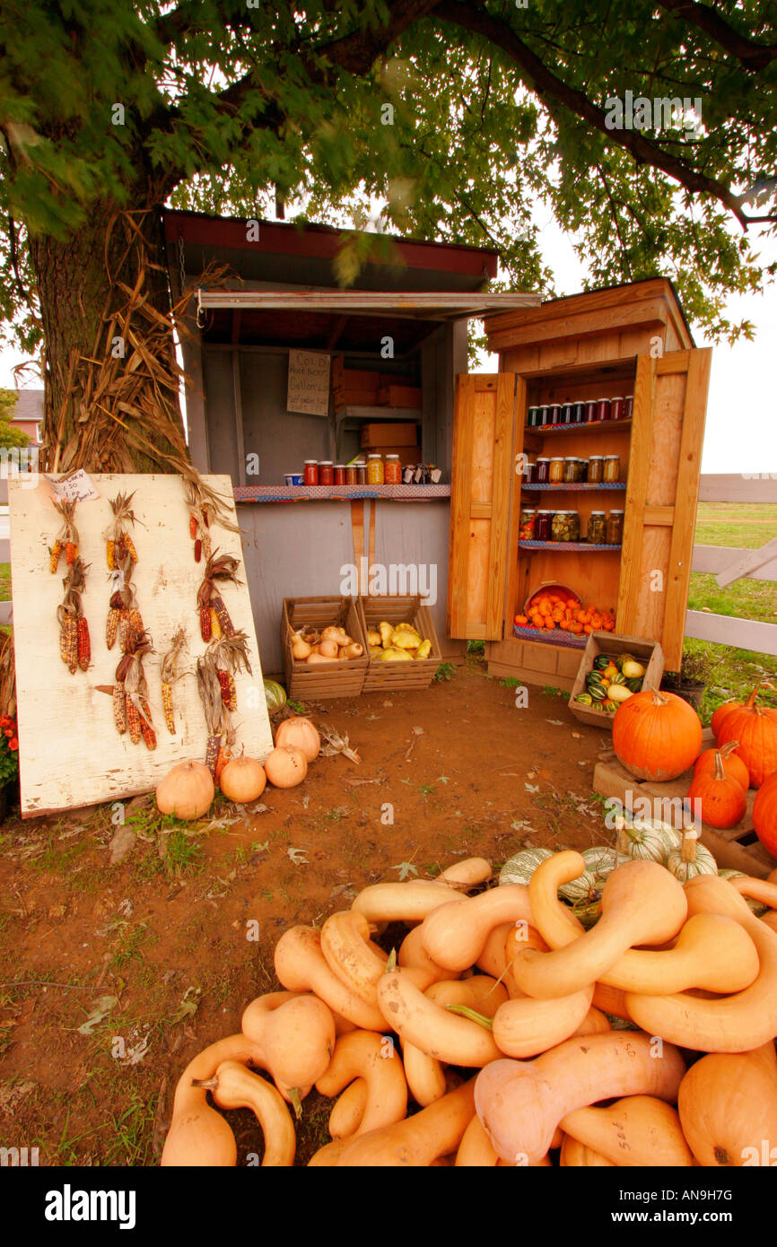 Amish farm tour hi-res stock photography and images - Alamy