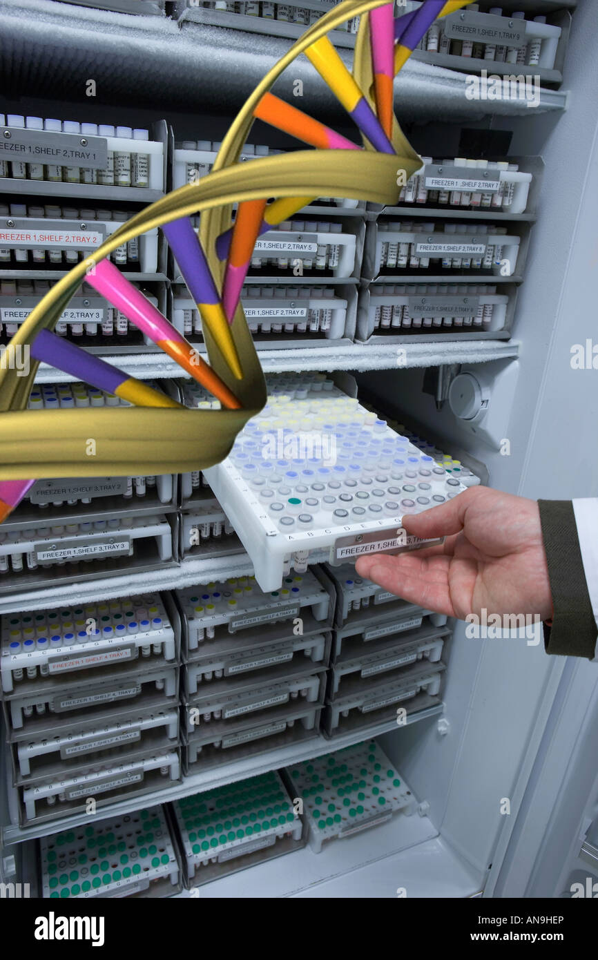 Hand holding dna model hi-res stock photography and images - Alamy