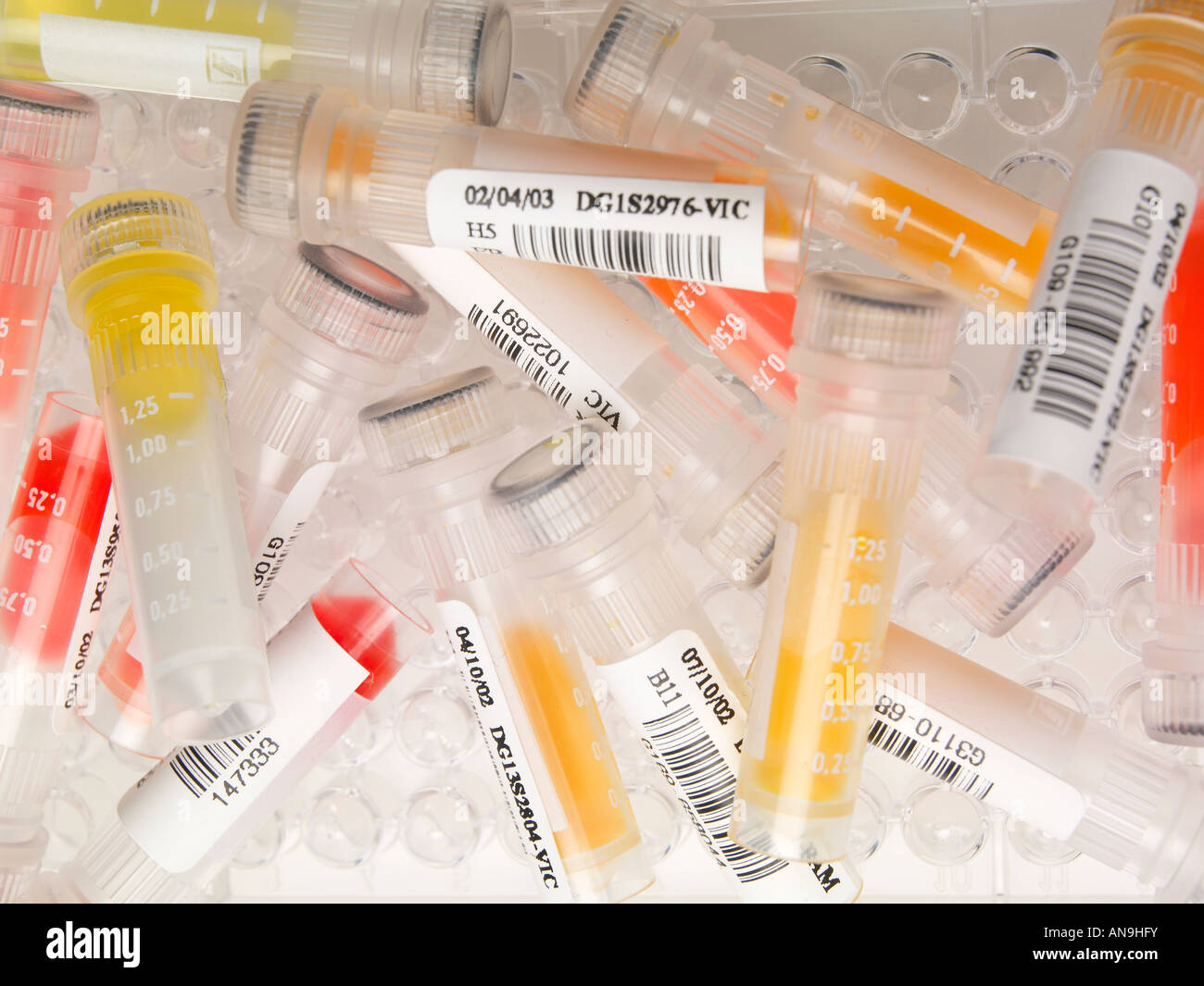 Human dna mapping hi-res stock photography and images - Alamy