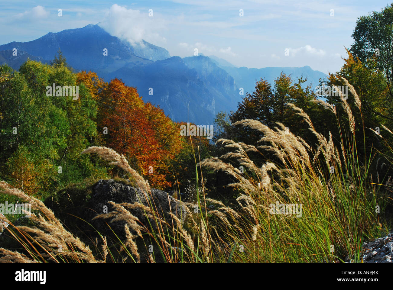 the mountains of Valsassina during the autumn Lecco province Lombardy ...