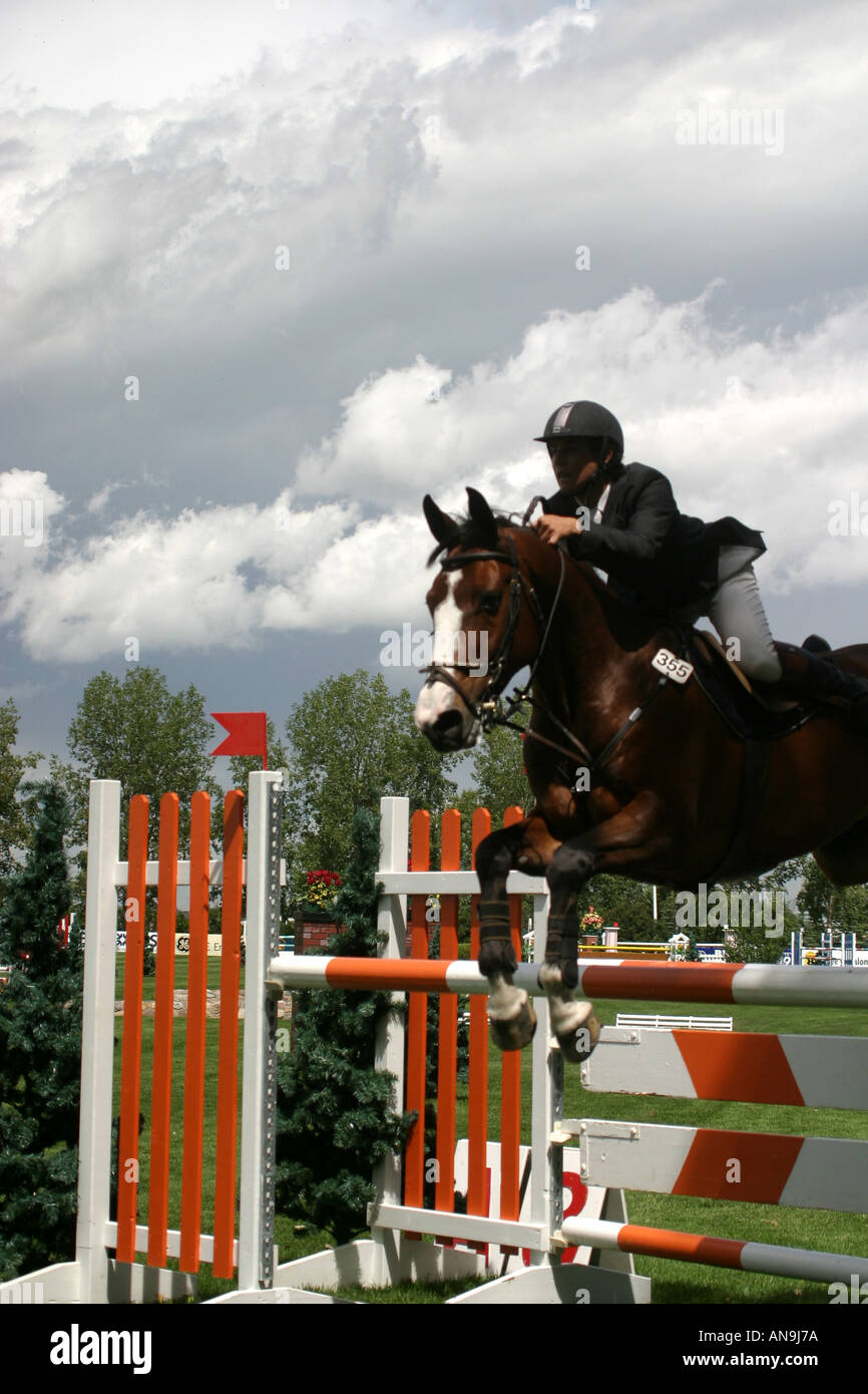 HORSES SHOW JUMPING Stock Photo - Alamy