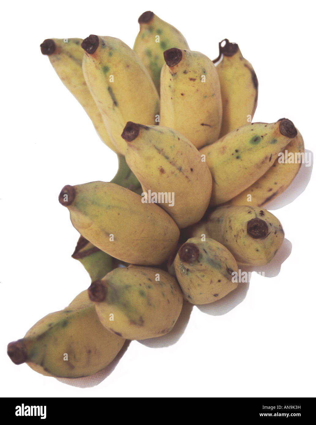 Pisang Awak High Resolution Stock Photography and Images - Alamy
