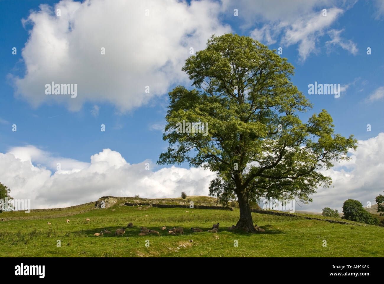 Garsdale Yorkshire Dales National Park Cumbria Stock Photo - Alamy