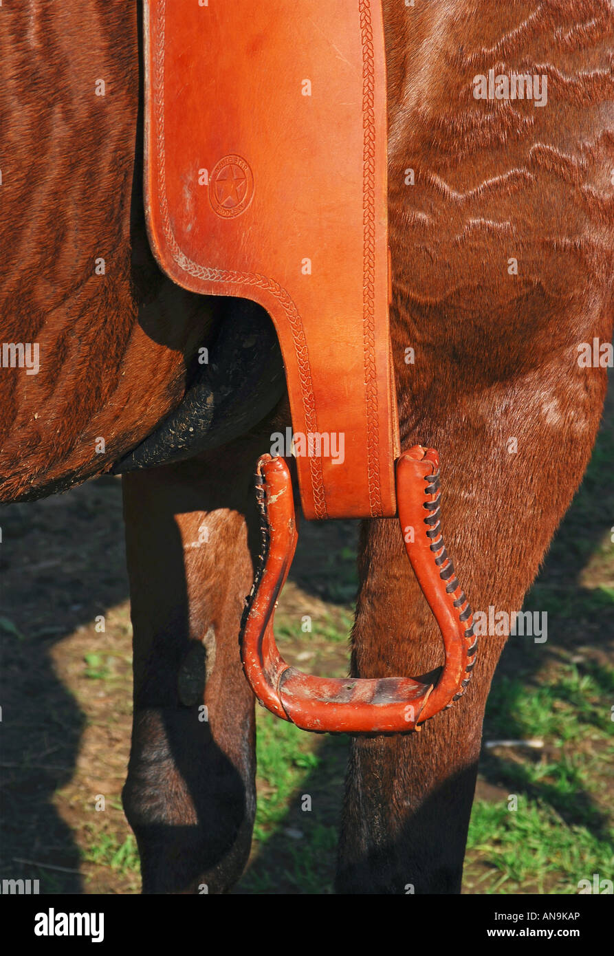 Horse stirrup hi-res stock photography and images - Alamy