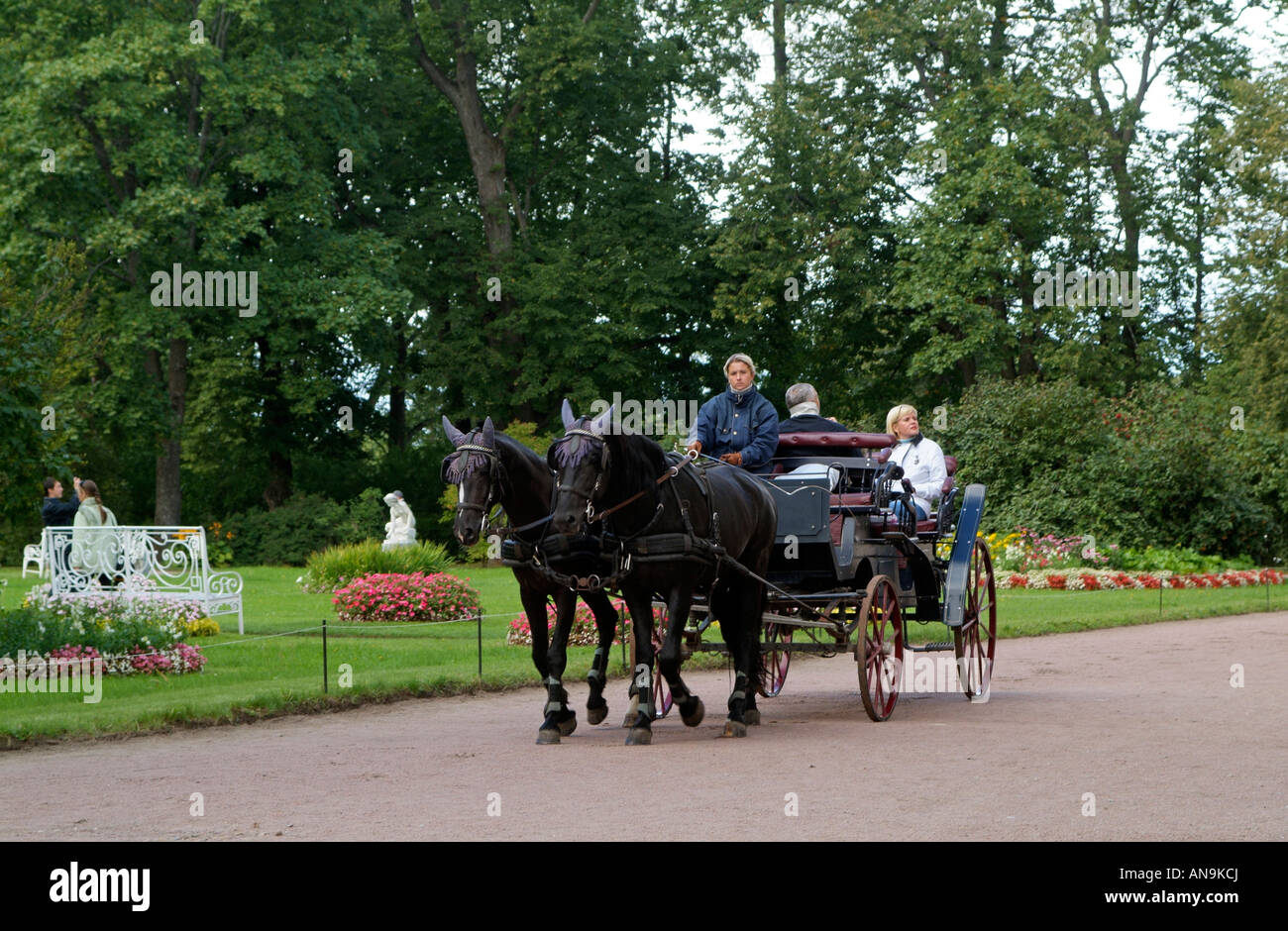 Russian Horse and Carriage in Catherine Park at Tsarkoe Selo St ...