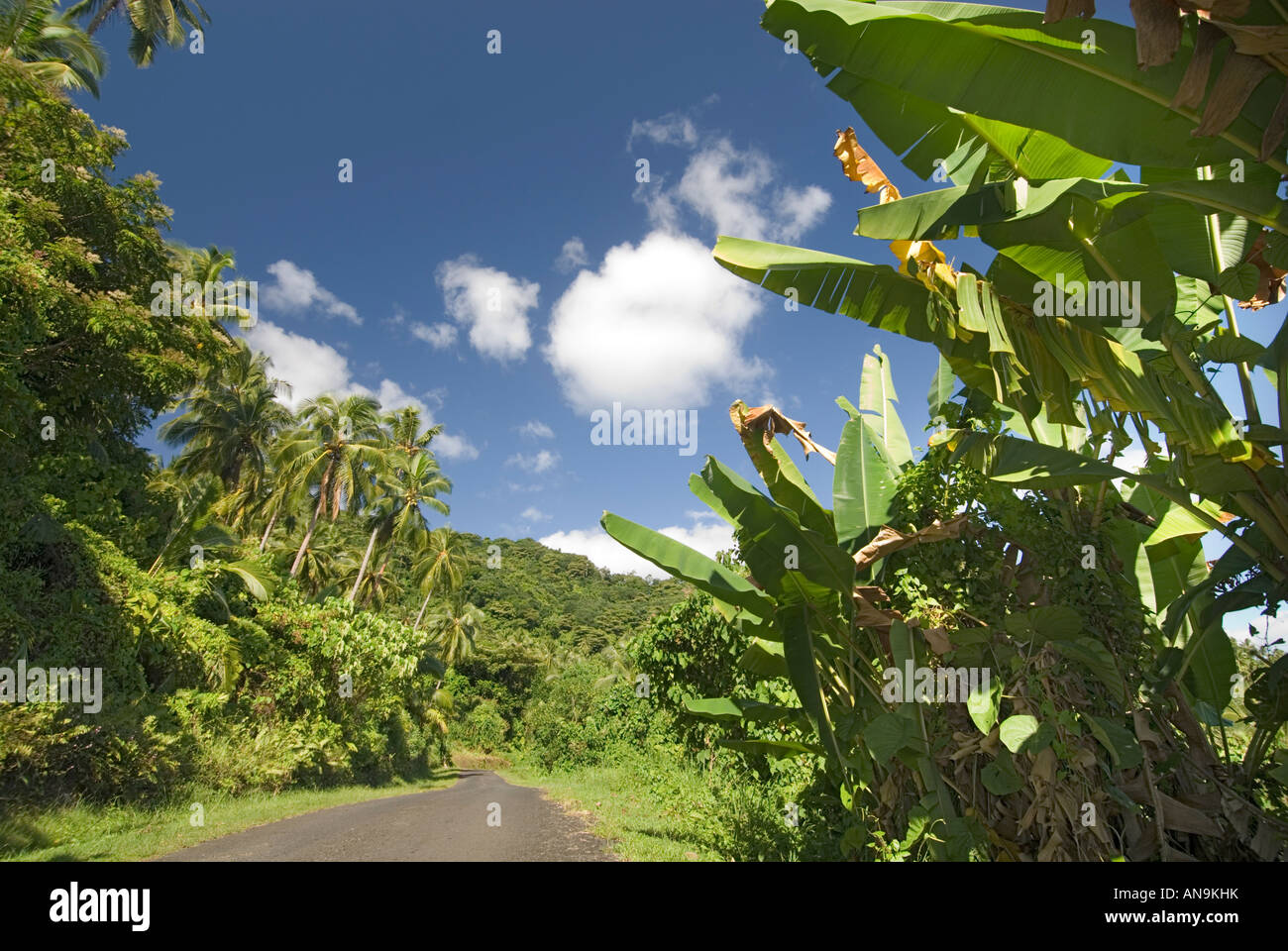 Northeast pacific underwater hi-res stock photography and images - Alamy