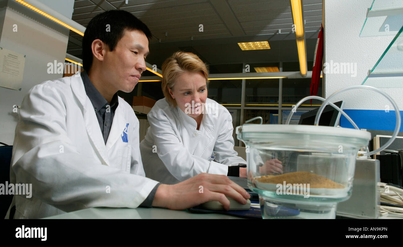 Researcher working fish laboratory hi-res stock photography and images ...