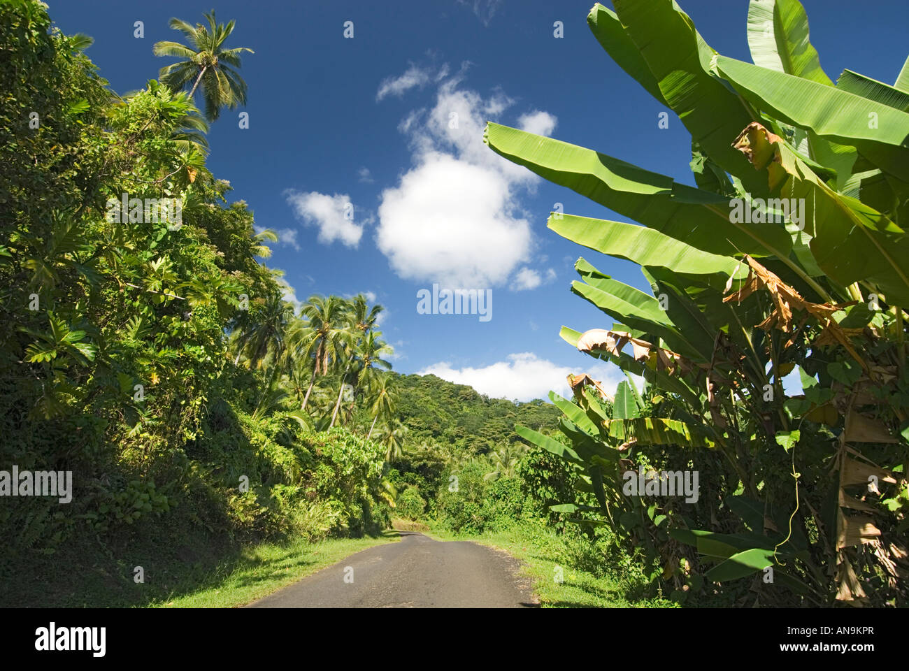 Northeast pacific underwater hi-res stock photography and images - Alamy