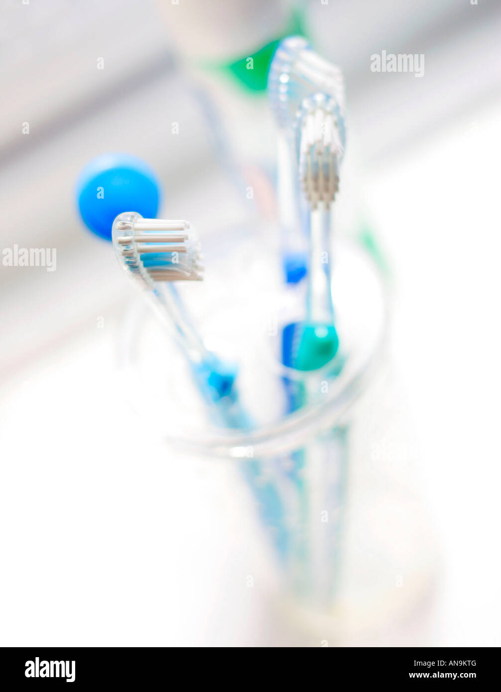 Toothbrush dental shelf hi-res stock photography and images - Alamy