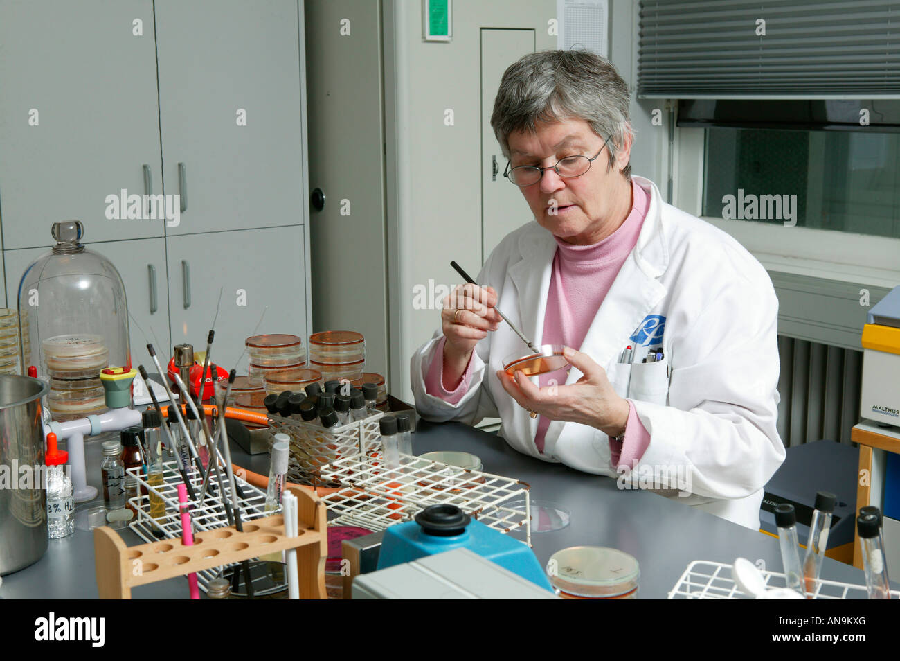 Researcher working at Fish Laboratory Stock Photo - Alamy
