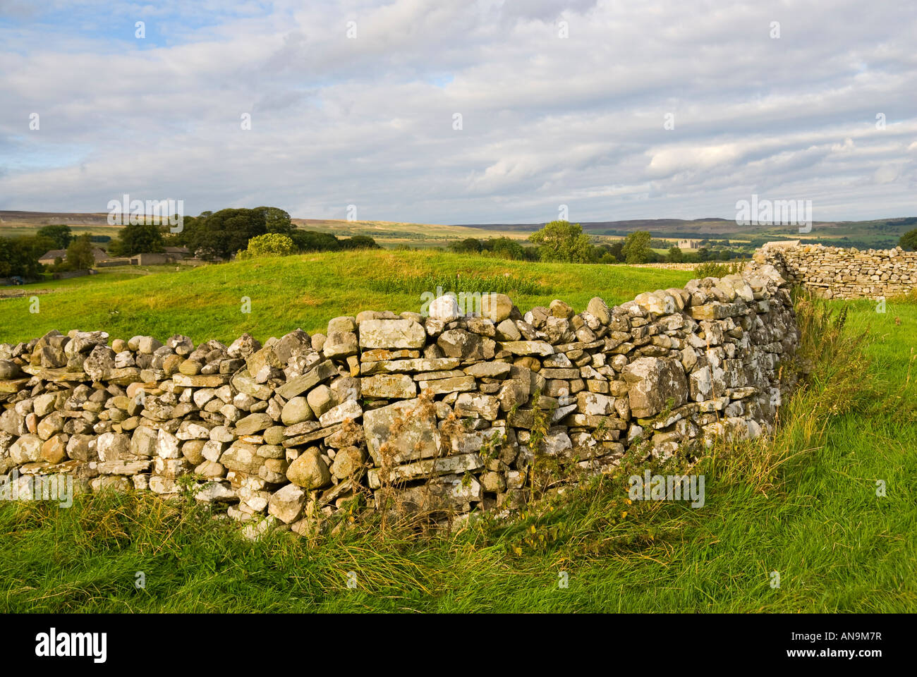 Dry stone wall Wensleydale Yorkshire Dales National Park England Stock ...