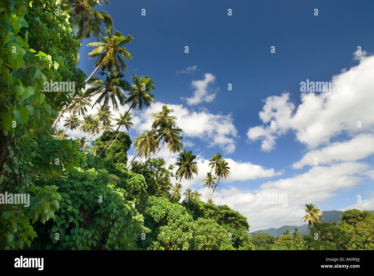 Northeast pacific underwater hi-res stock photography and images - Alamy