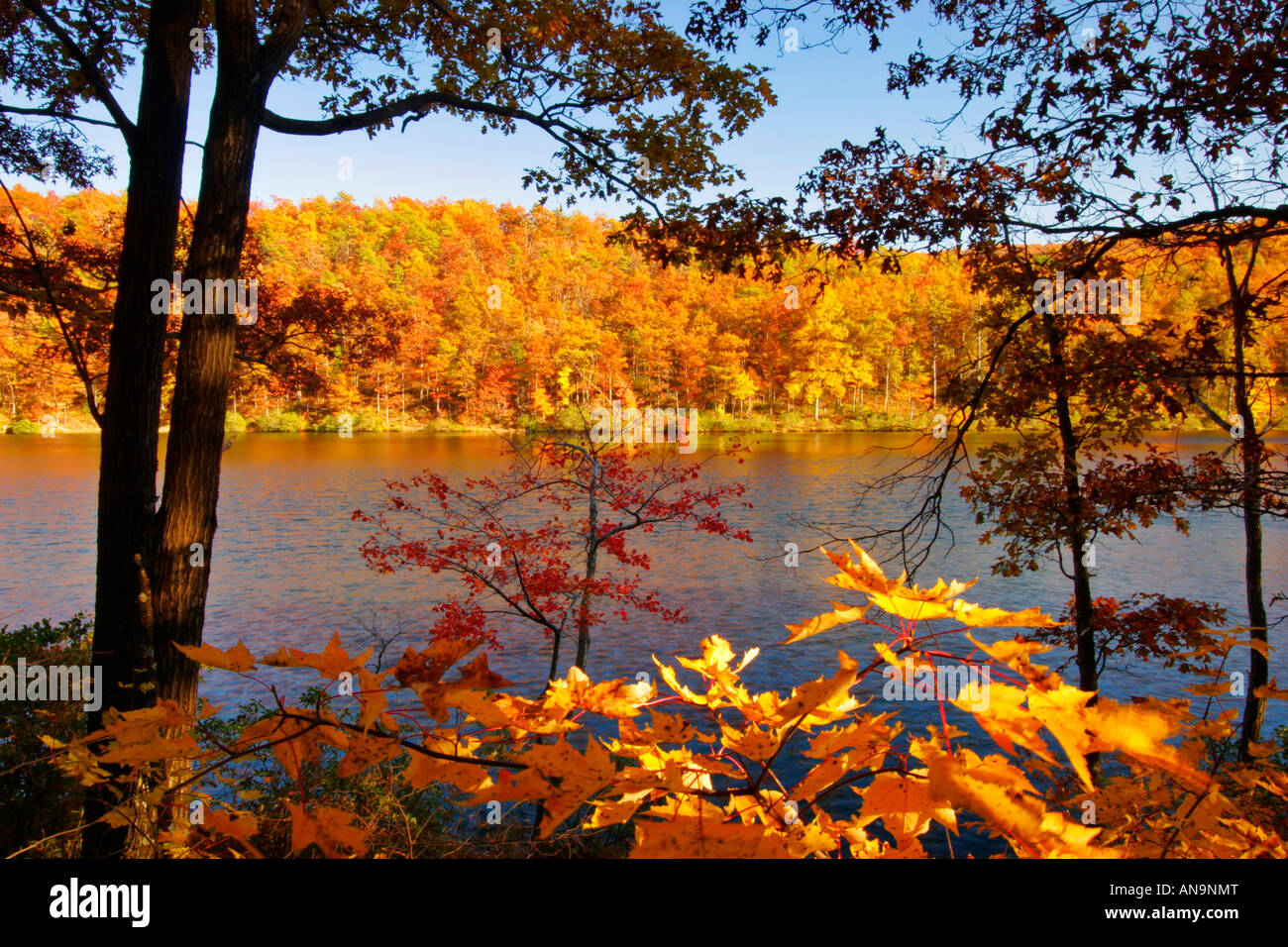 Sherando Lake, George Washington National Forest, Virginia, USA Stock ...