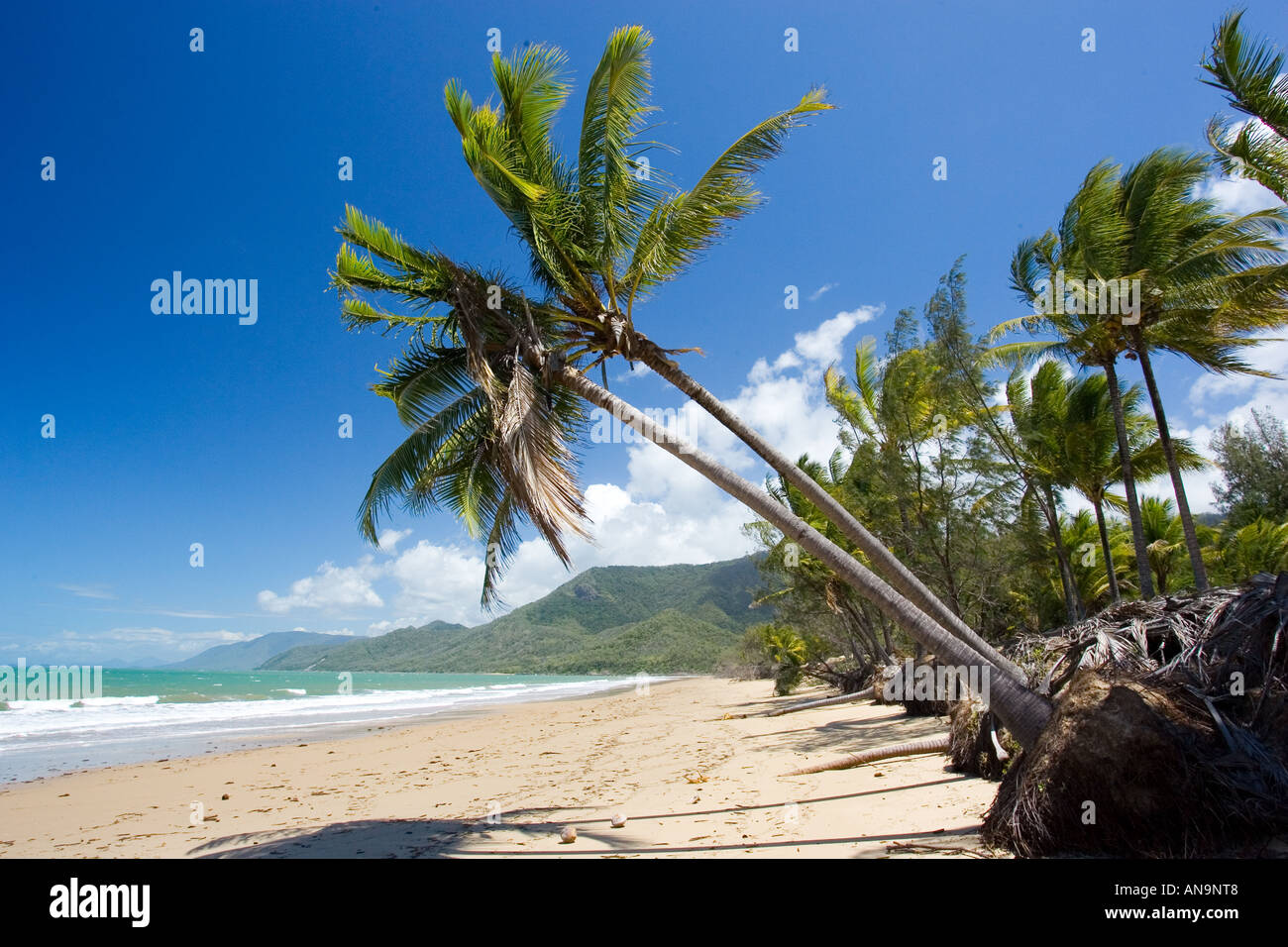 Thala beach hi-res stock photography and images - Alamy