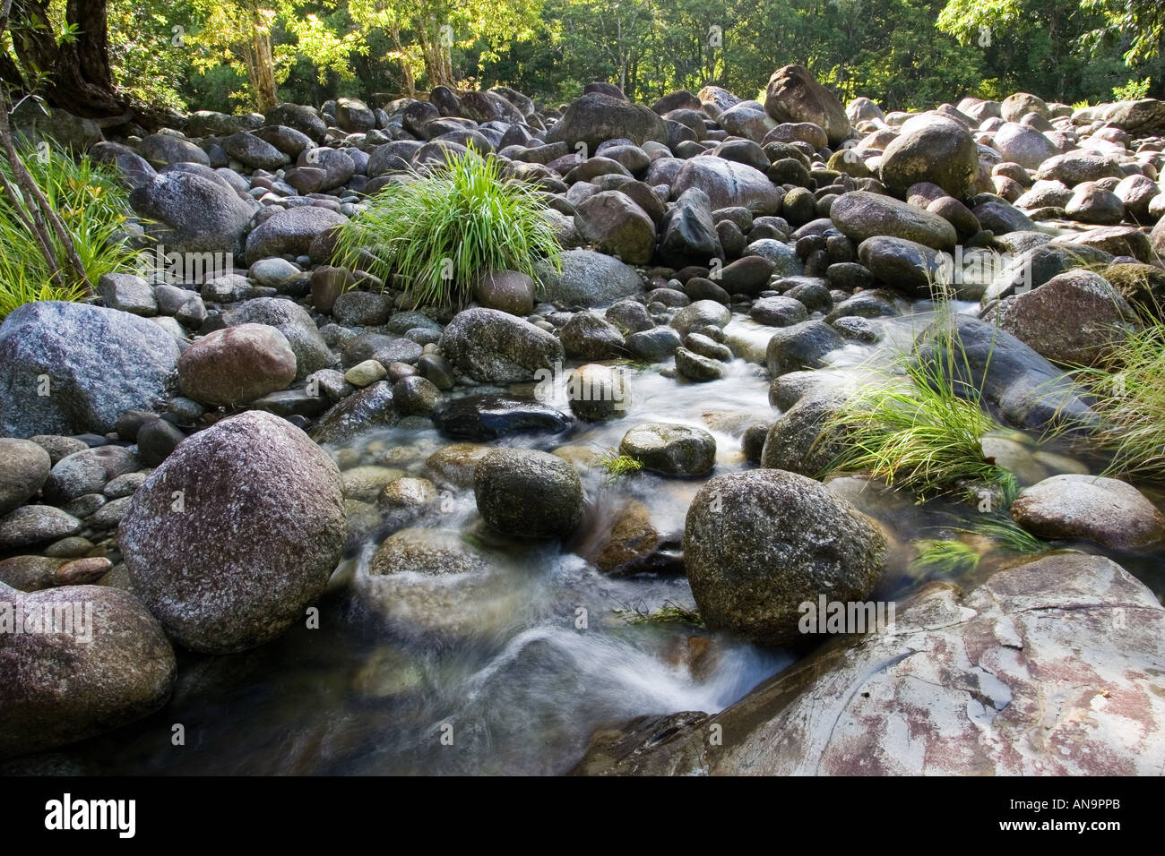 The Mossman riverbed Daintree Rainforest Queensland Australia Stock ...