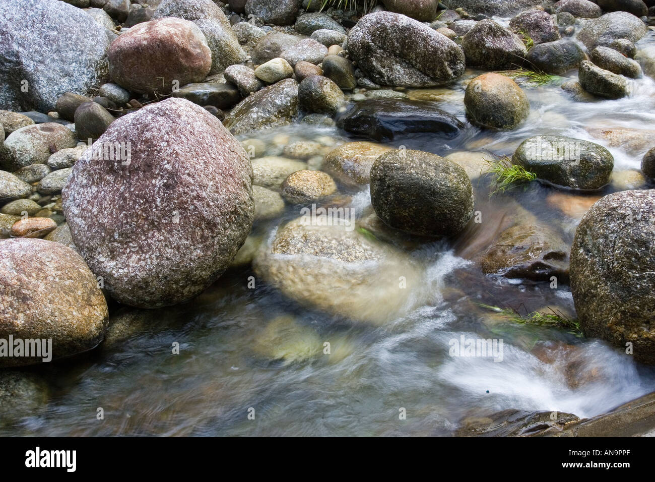 The Mossman riverbed Daintree Rainforest Queensland Australia Stock Photo - Alamy
