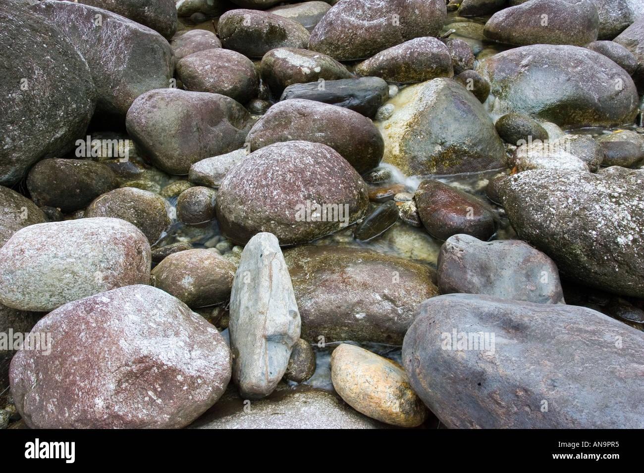 Stones and boulders on the Mossman riverbed Daintree Rainforest ...