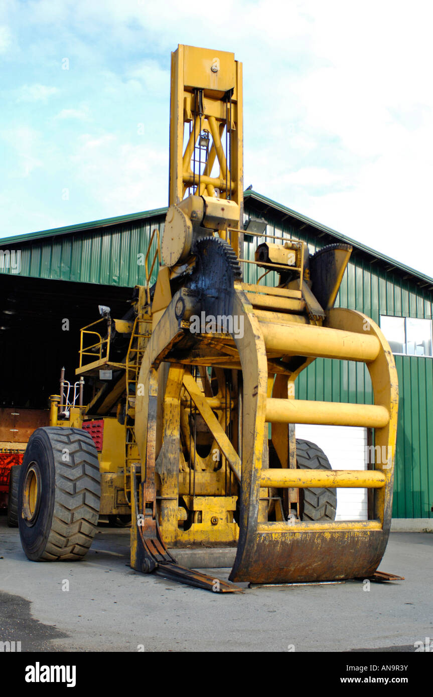 Forest Heavy Plant Powerful Machinery Cat Logpicker Stock Photo - Alamy