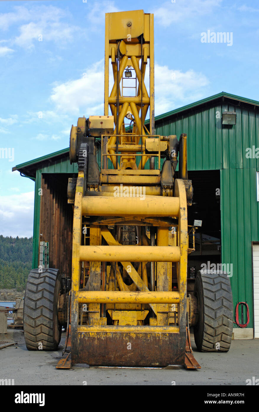 Forest Heavy Plant Machinery Cat Logpicker Stock Photo - Alamy