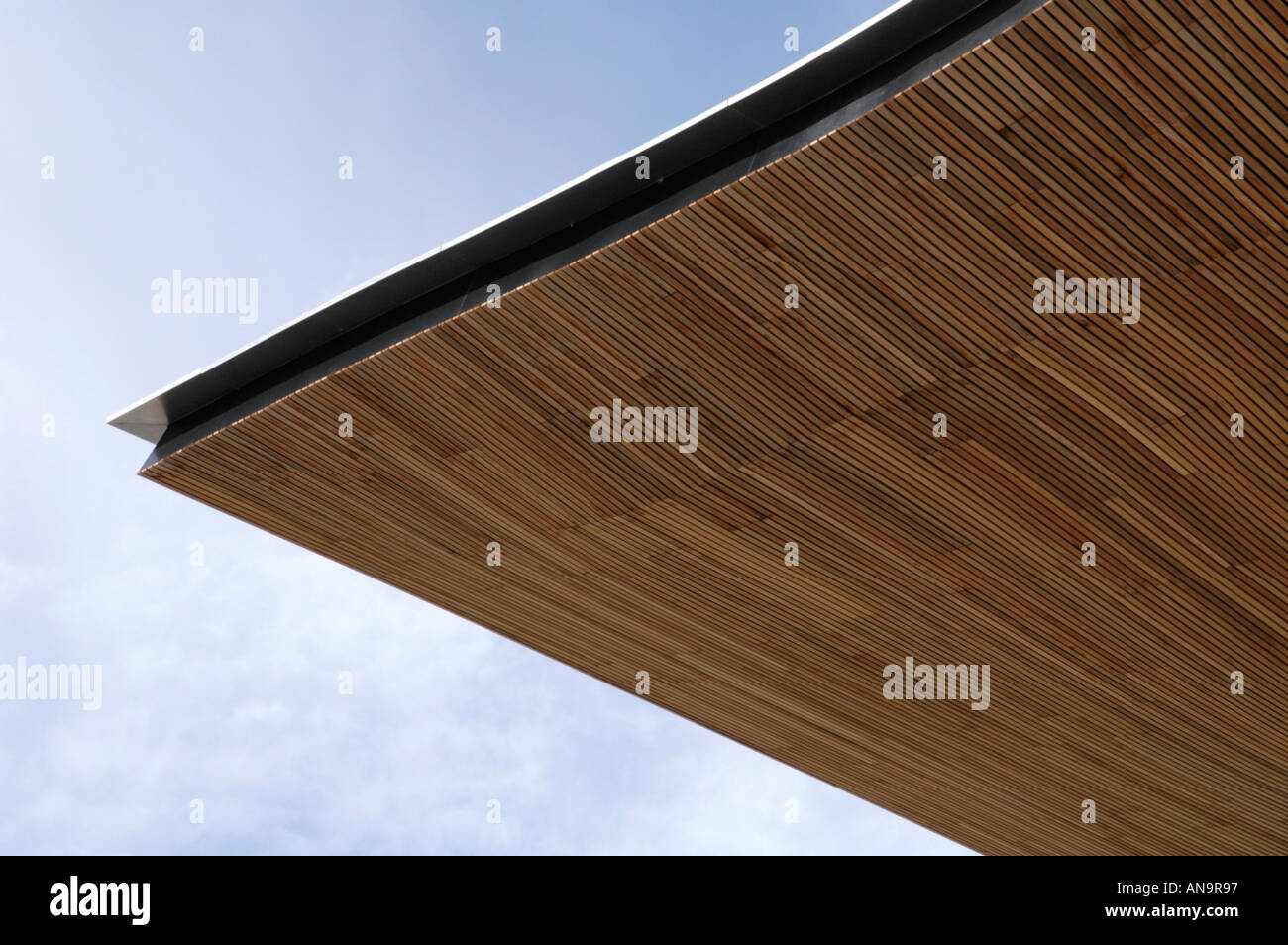Timber cladding on roof of National Assembly for Wales building ...