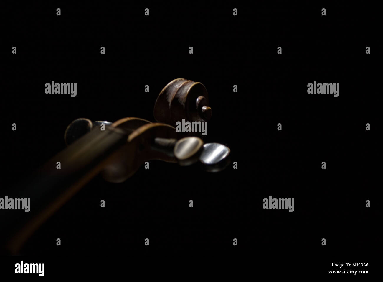 head of a violin Stock Photo - Alamy