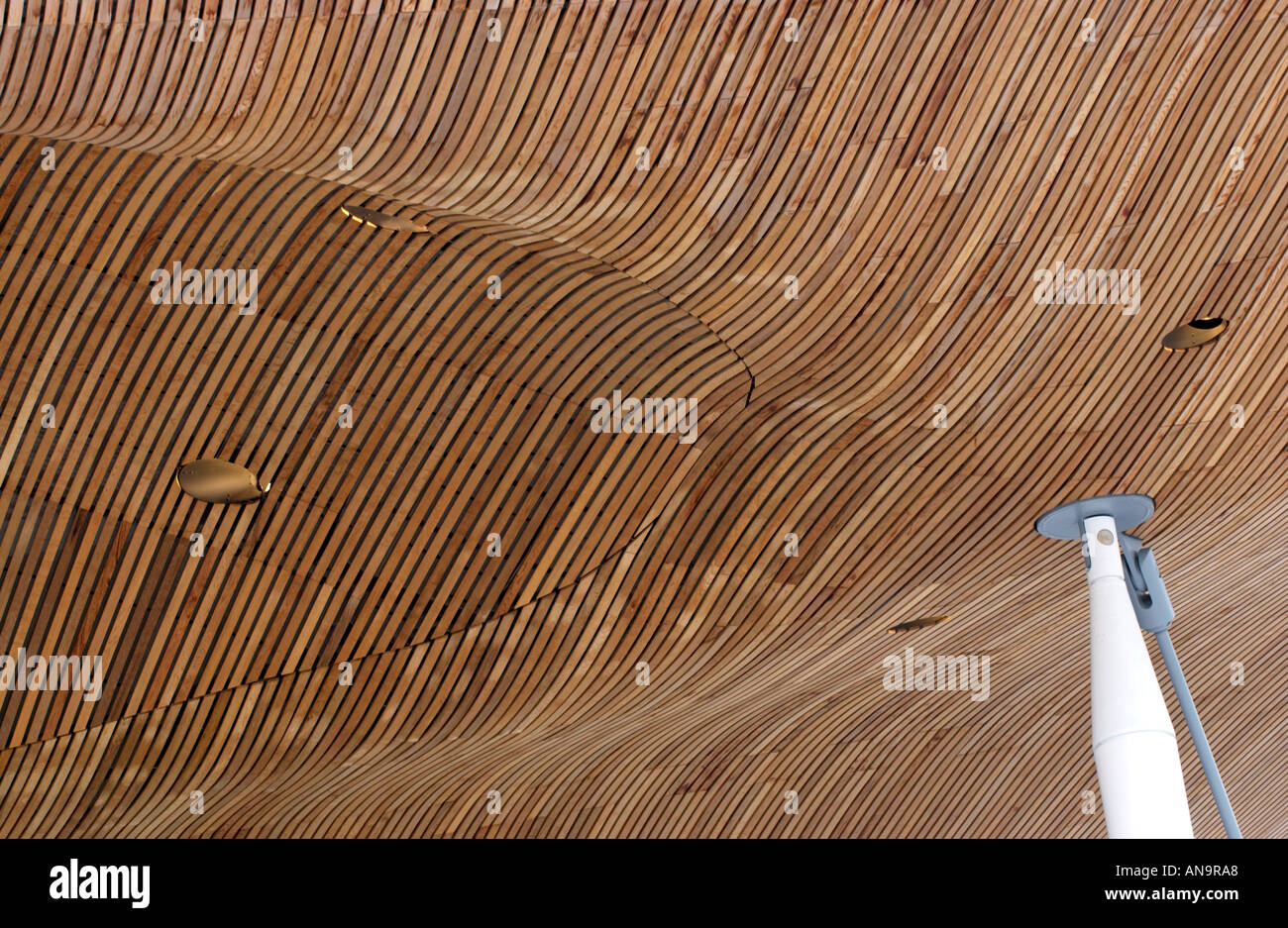 Under roof cladding of new building for National Assembly for Wales ...