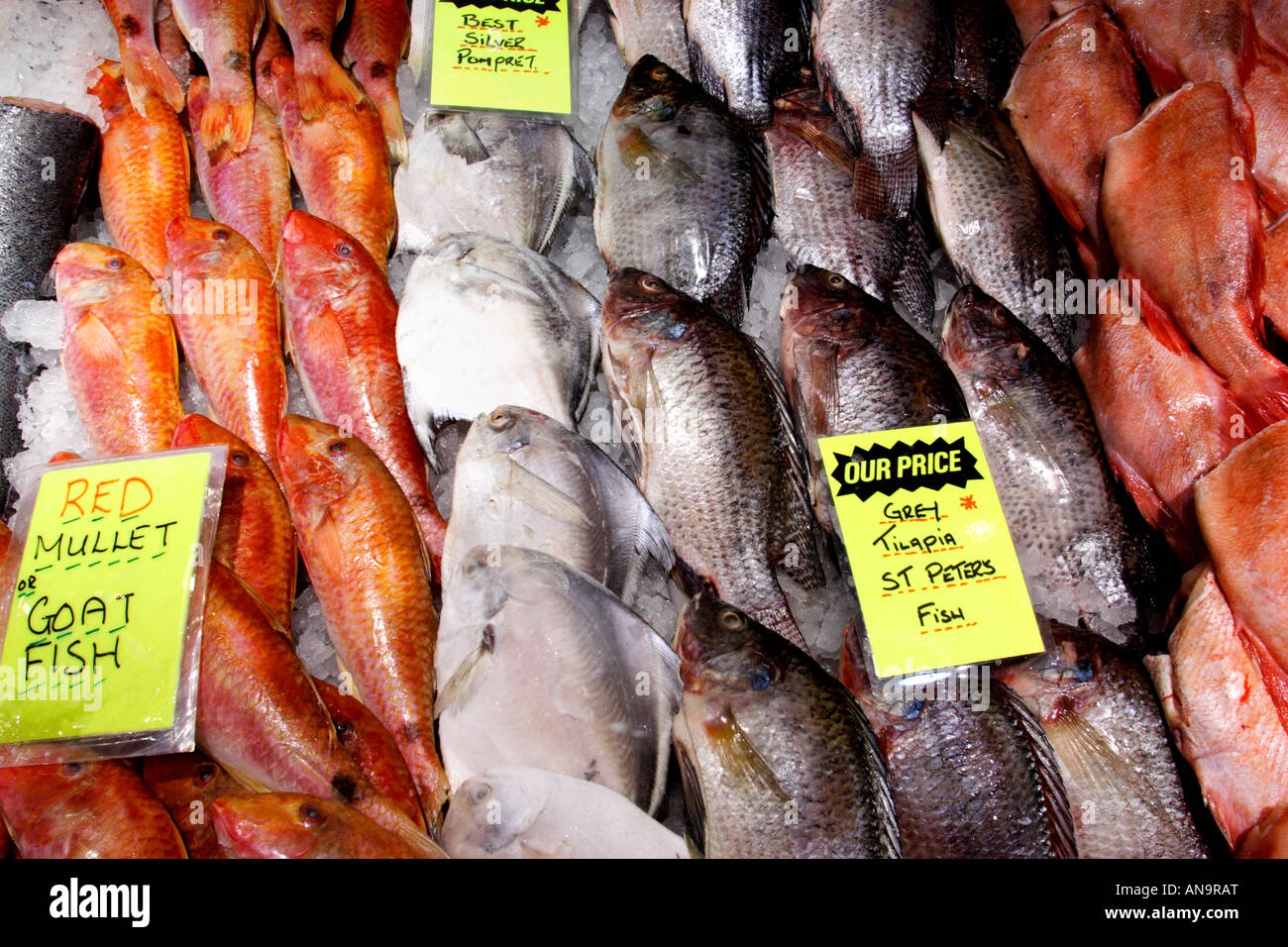 UK fresh fish display at downtown market Stock Photo - Alamy