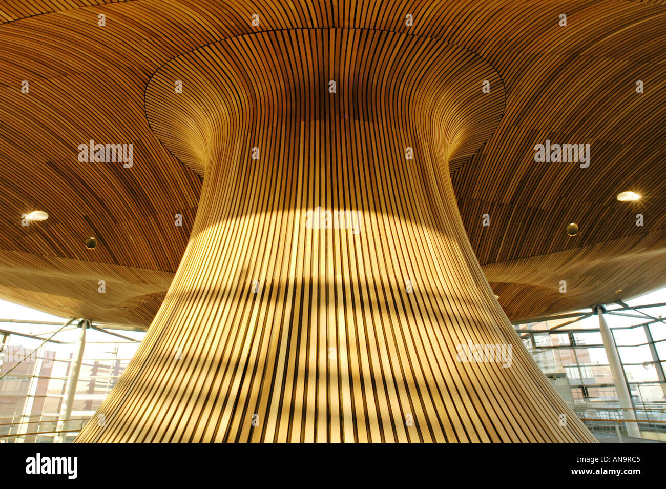 Interior of National Assembly for Wales showing timber cladding Cardiff ...