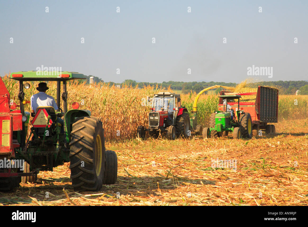 Harvesting Corn, Dayton, Shenandoah Valley, Virginia, USA Stock Photo ...