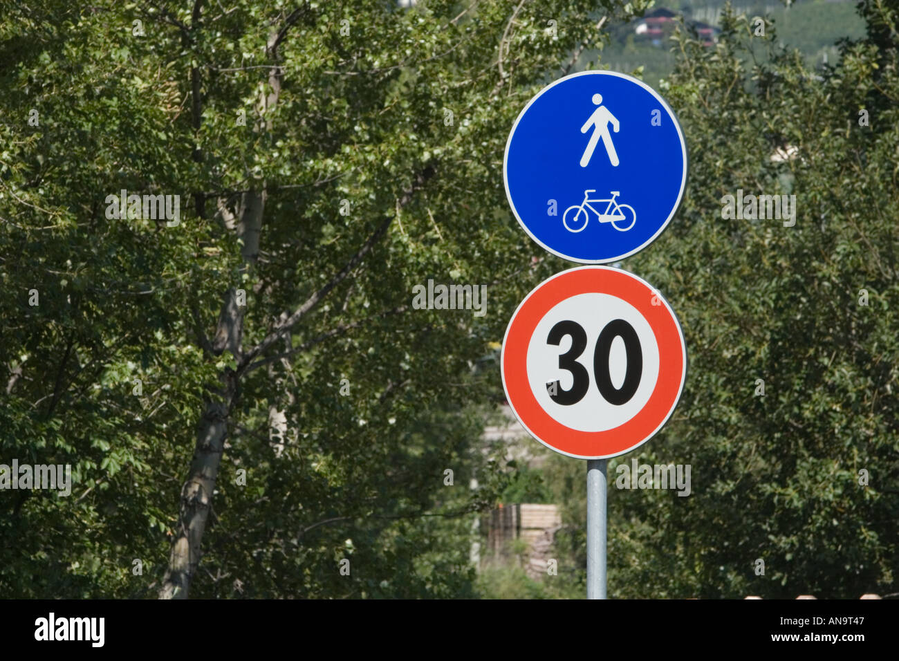 Speed limit and pedestrian signs in Italy Stock Photo - Alamy