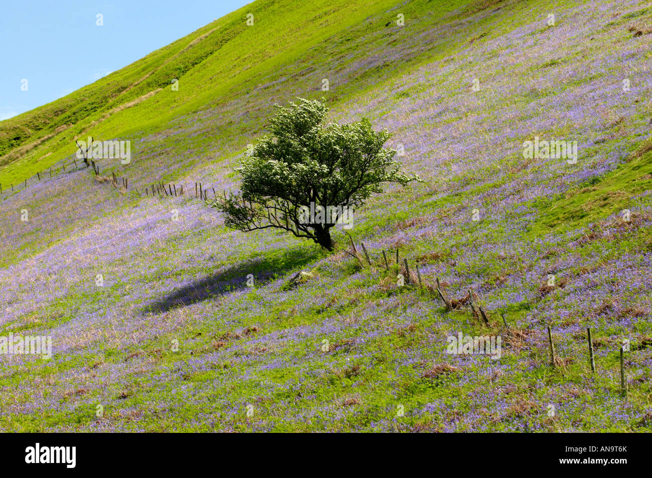 Europe Wales scenic hillside in Snowdonia National Park Stock Photo - Alamy