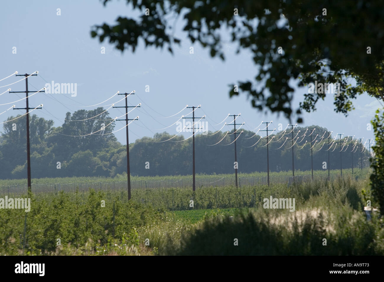 Italian power hi-res stock photography and images - Alamy