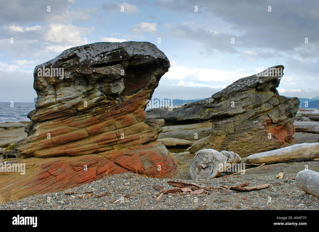 Madrona point hi-res stock photography and images - Alamy