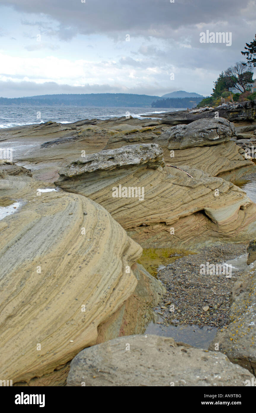 Madrona point hi-res stock photography and images - Alamy