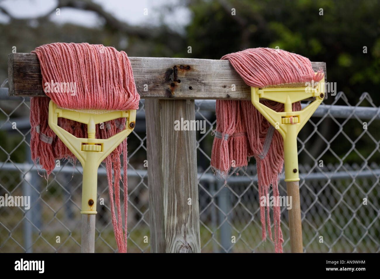 Mops hanging on fence to dry Stock Photo - Alamy