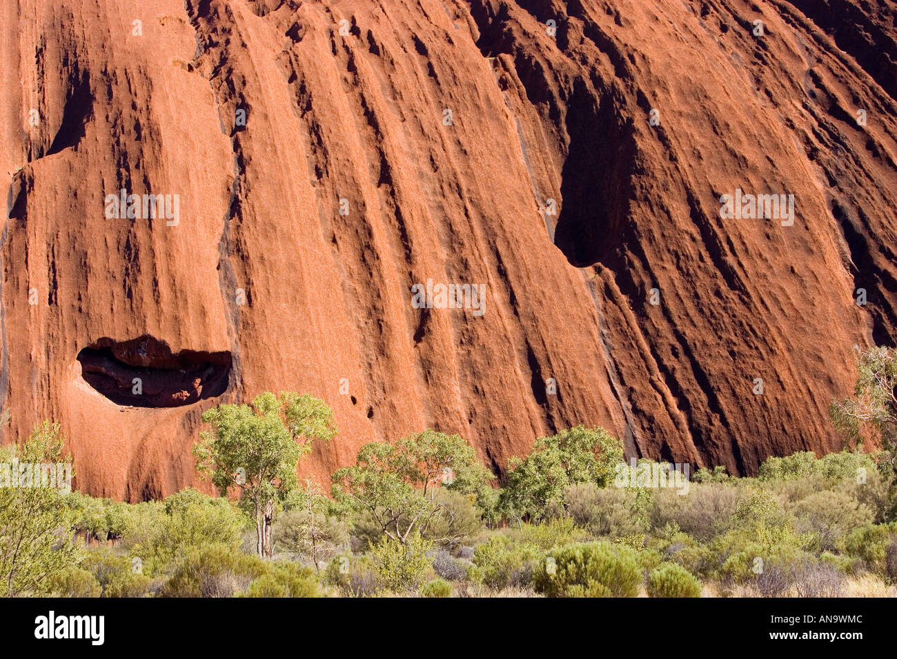 Trees at the base of Ayers Rock Uluru Australia Stock Photo - Alamy