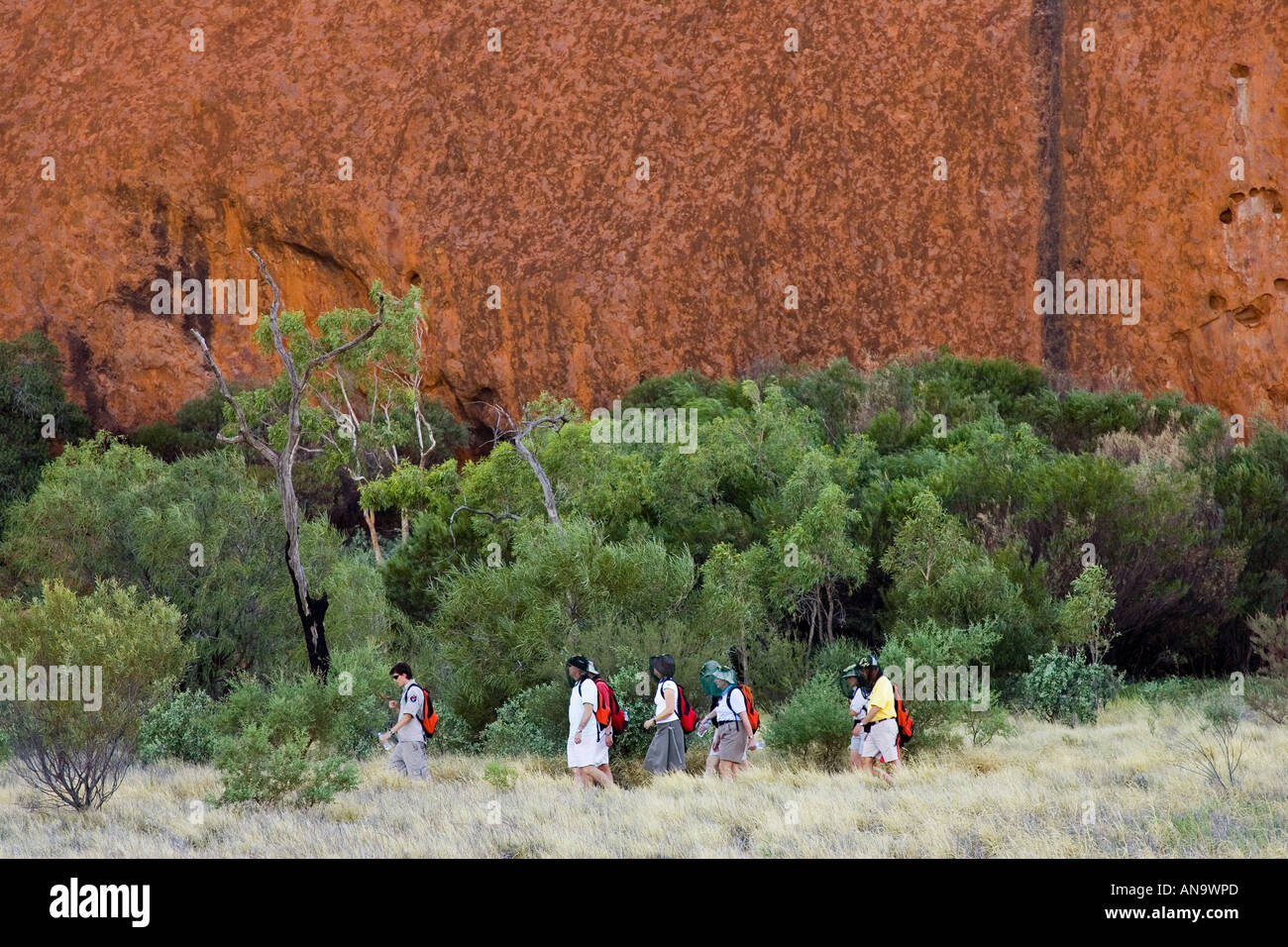 Tourists at the base of Ayers Rock Uluru Red Centre Australia Stock ...